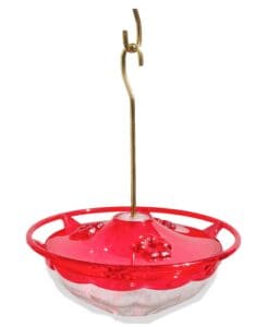 The Best Hummingbird Feeders (2026): Reviews & DIY Nectar Guide