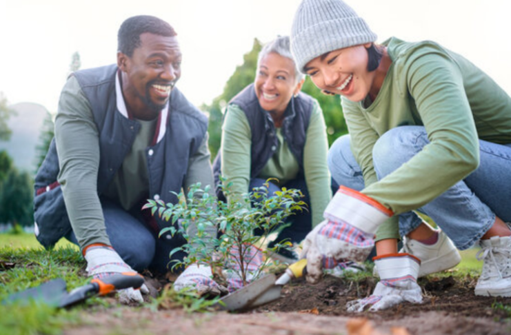 How to Start a Community Garden in 8 Easy Steps