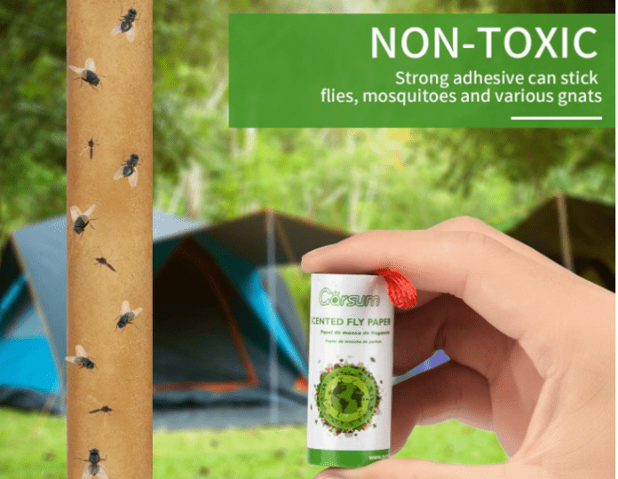 Best Fly Traps: 3 Types of Fly Traps Keeping Your Space Insect-Free