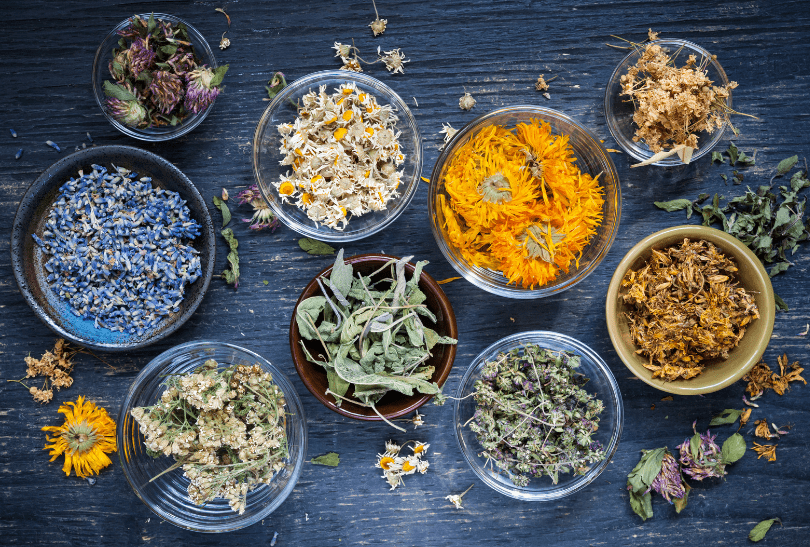 8 Herbs That Naturally Purify Your Home & Clean The Air