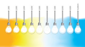 Soft White vs. Daylight Bulbs: Your Guide to the Perfect Room Glow