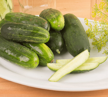 Heirloom Cucumber Flavor Champions for Humid Climates (Zones 5-9 ...