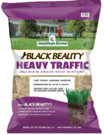 Best Grass Seed (2026): A Landscaper Tests the Top Brands