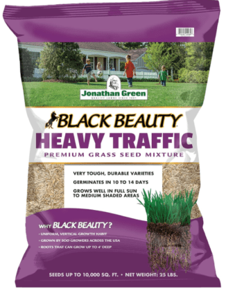 Best Grass Seed (2026): A Landscaper Tests the Top Brands